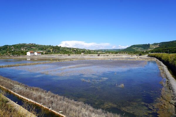 Wandern & Genießen in Strunjan – Naturparadies in Slowenien